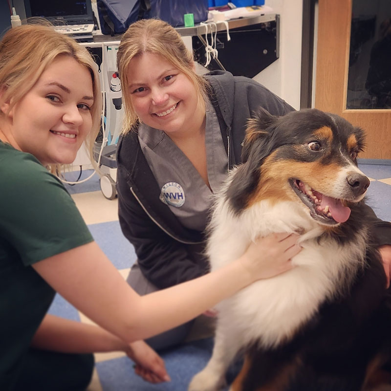 Blood Bank | Emergency Care