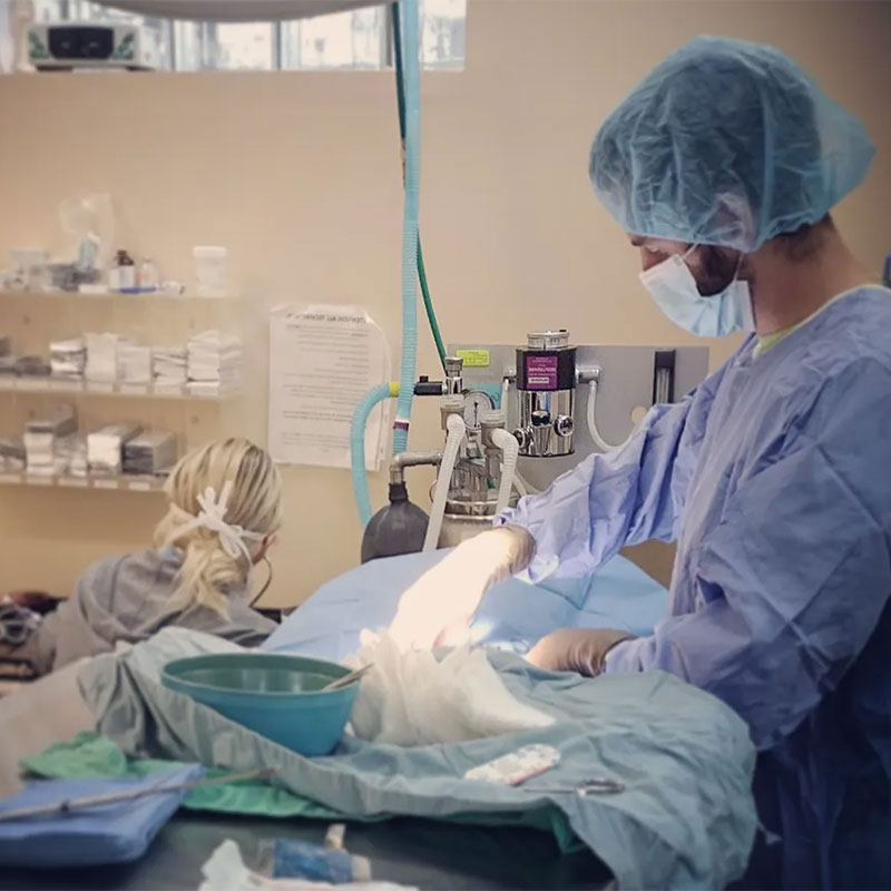 Advanced Soft Tissue Surgery | Surgery