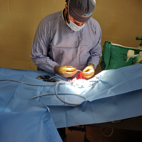 Advanced Soft Tissue Surgery | Surgery