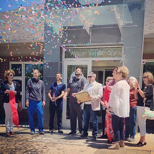 Careers | Wilson Veterinary Hospital