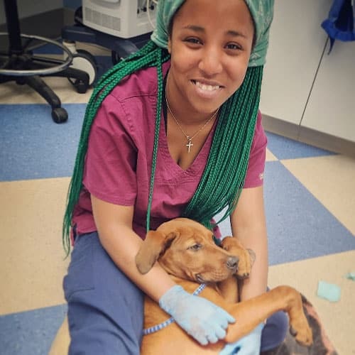 Careers | Wilson Veterinary Hospital