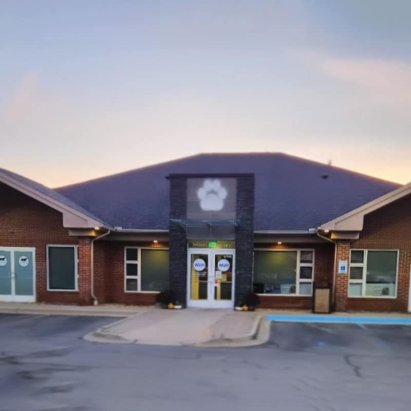 Wilson Veterinary Hospital