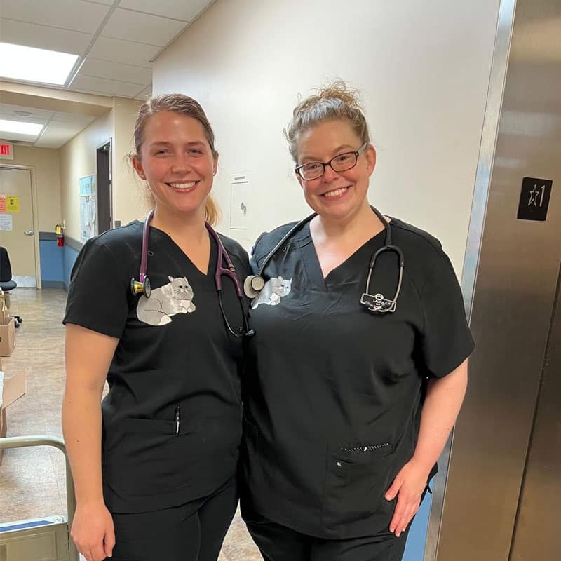 Wilson Veterinary Hospital