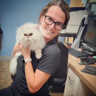 Wilson Veterinary Hospital