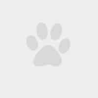 Team | Wilson Veterinary Hospital