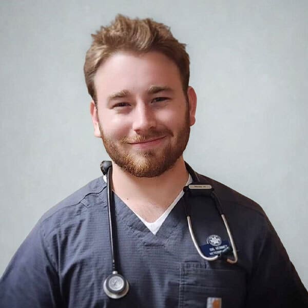 Team | Wilson Veterinary Hospital